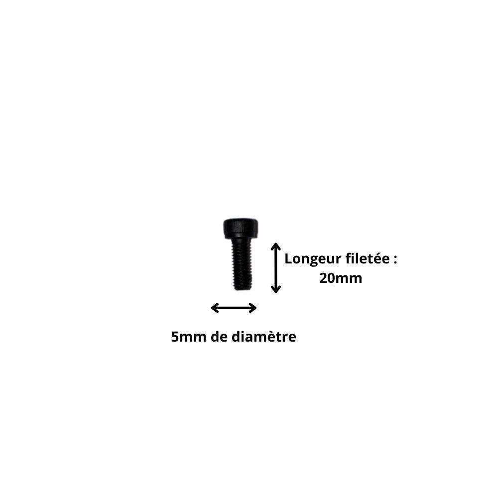 Vis M5x20 à Tête Cylindrique et Empreinte Allen (Pack de 10)