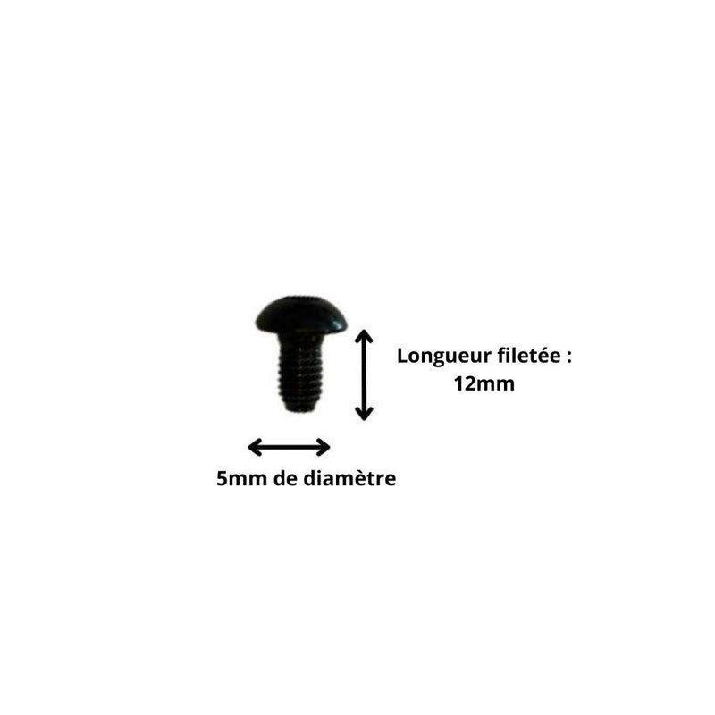 Vis M5x12 à Tête Ronde et Empreinte Allen (Pack de 10)