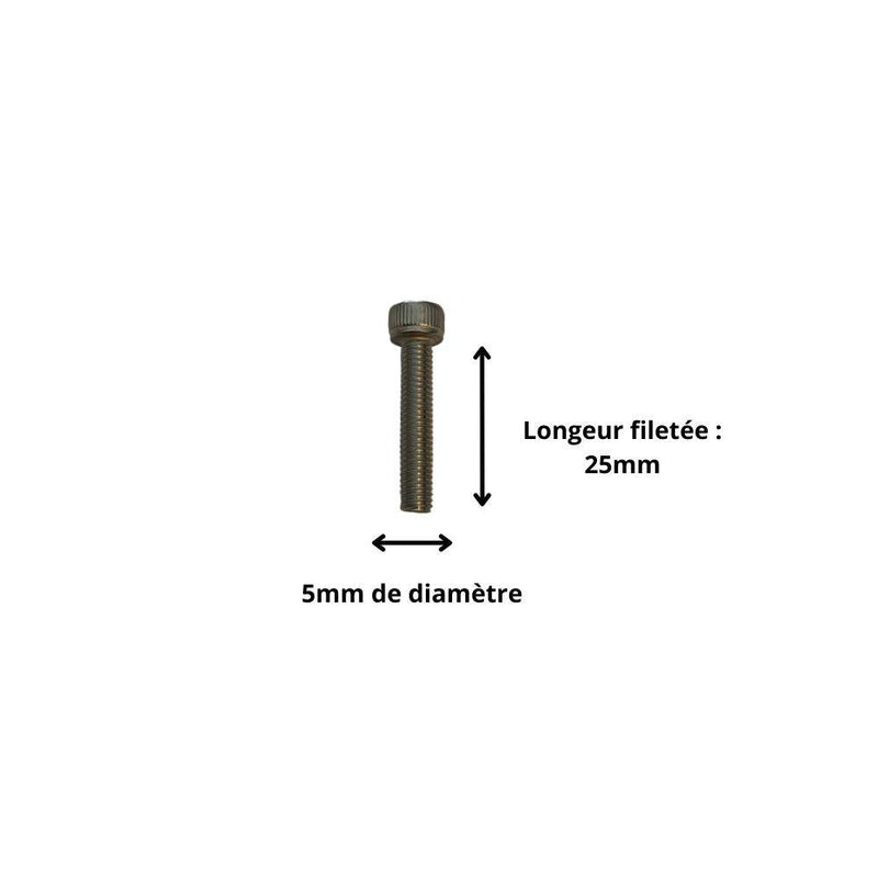 Vis M5x25 à Tête Cylindrique et Empreinte Allen (Pack de 10)